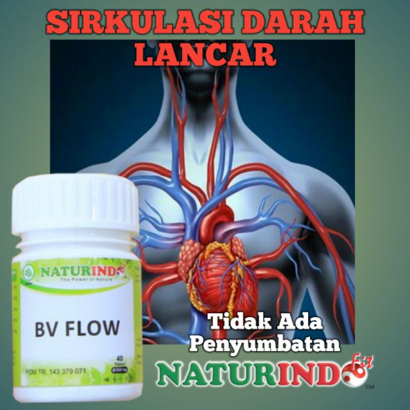 Jual OBAT HERBAL PENYUMBATAN PEMBULUH DARAH PELANCAR SIRKULASI DARAH ...