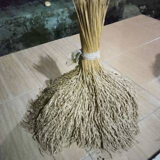 Jual Padi Ketan Hitam Pertangkai, 1 ikat isi 30 tangkai harga 25000 ...