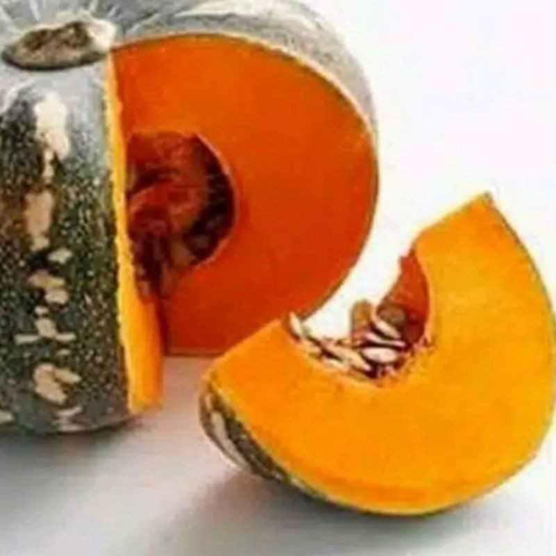 Jual 5 biji Benih bibit Labu kuning | Shopee Indonesia