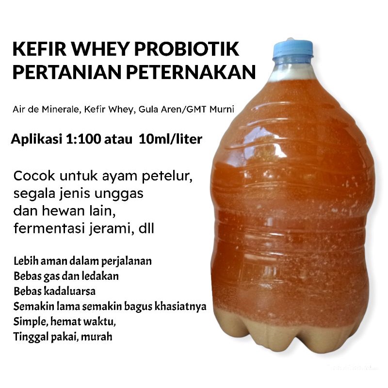Jual Kefir Whey Probiotik 15 liter Efective Micro Organisme Kefir ...