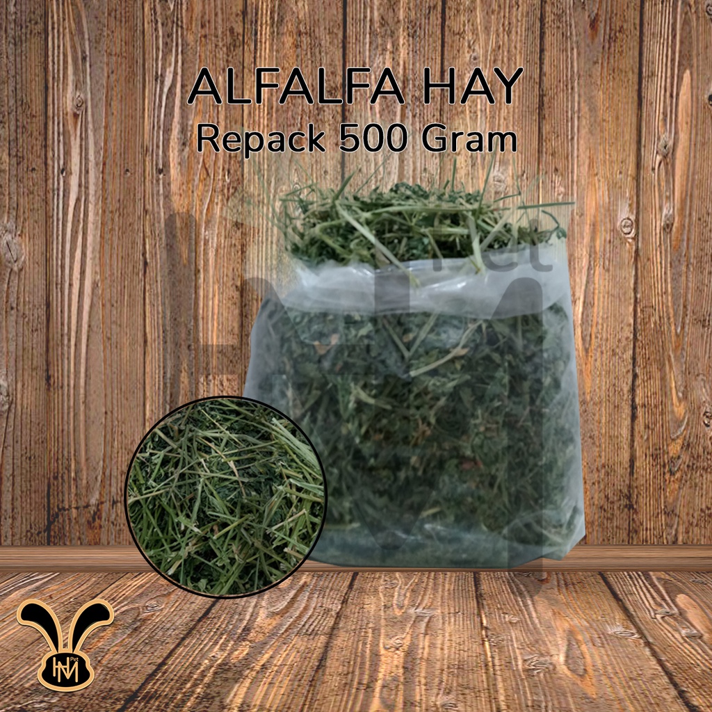 Jual RABBIT HOLE HAY Alfalfa 500 Gram - Rumput Hay Alfalfa Makanan ...