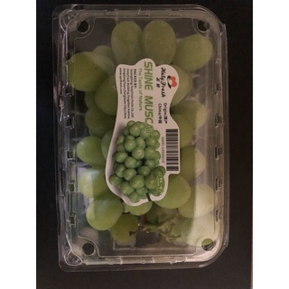 Jual Anggur Green Shine Muscat /pack 500grm PROMO Indonesia|Shopee ...