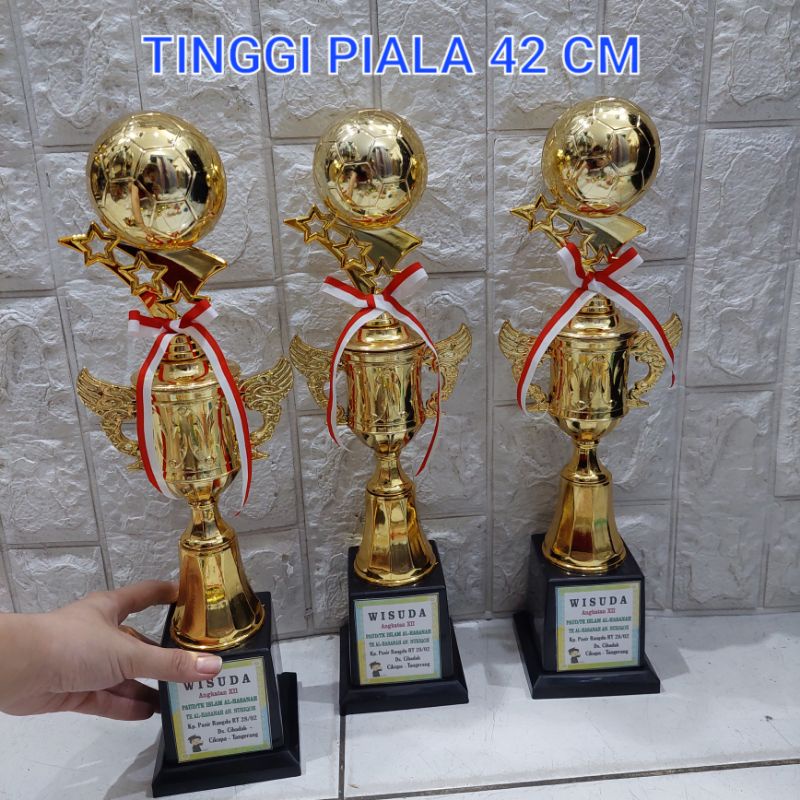 Jual Trophy Piala Sepak Bola Futsal Custom Murah ( B.06 Wing ) | Shopee ...