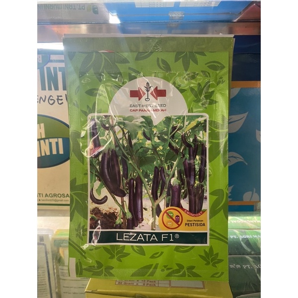 Jual Benih Terong Ungu Lezata F1 | Shopee Indonesia