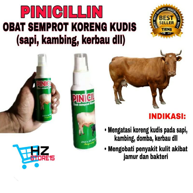 Jual Obat Scabies Gudik Kudis Eksim Gatal Koreng Hewan Sapi Kambing ...