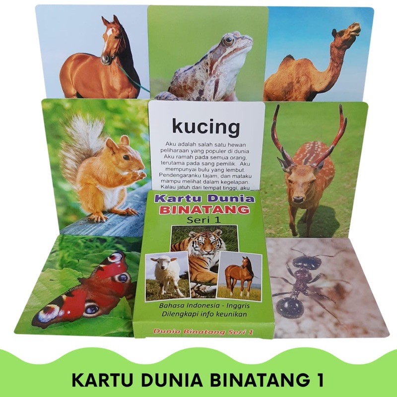 Jual KARTU BINATANG / FLASHCARD BINATANG / KARTU DUNIA BINATANG / KARTU ...