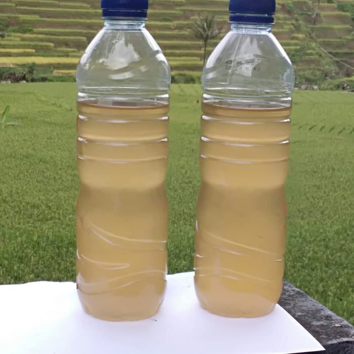 Jual AIR NIRA ATAU LAHANG AREN ASLI | Shopee Indonesia Jual AIR NIRA ATAU LAHANG AREN ASLI | Shopee Indonesia