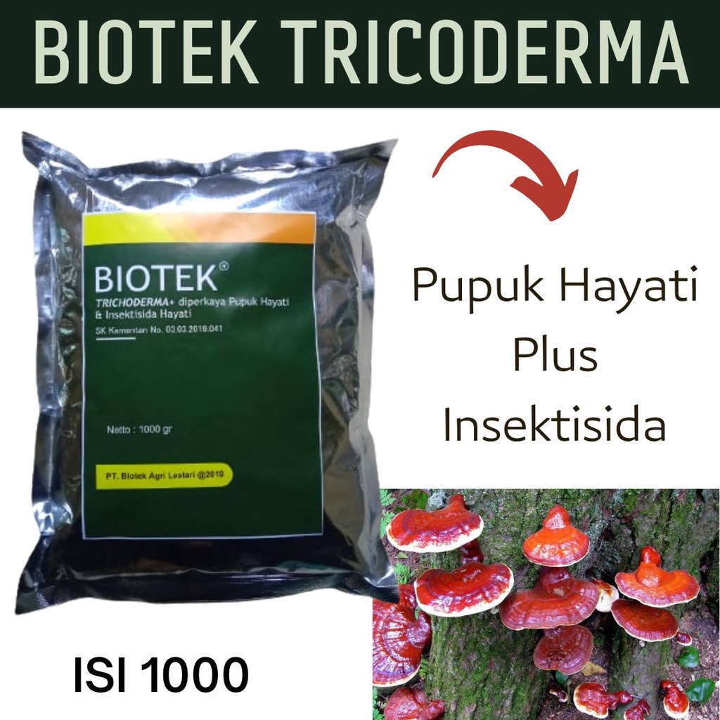 Jual Obat Jamur Sawit, Fungisida Hayati Tricoderma 1 Kg, Trichoderma ...