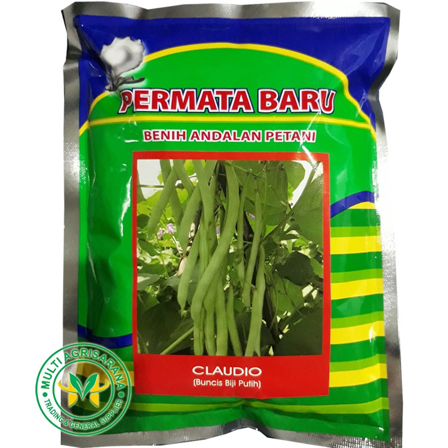Jual Benih Bibit Buncis Biji Putih CLAUDIO 500 gr. | Shopee Indonesia