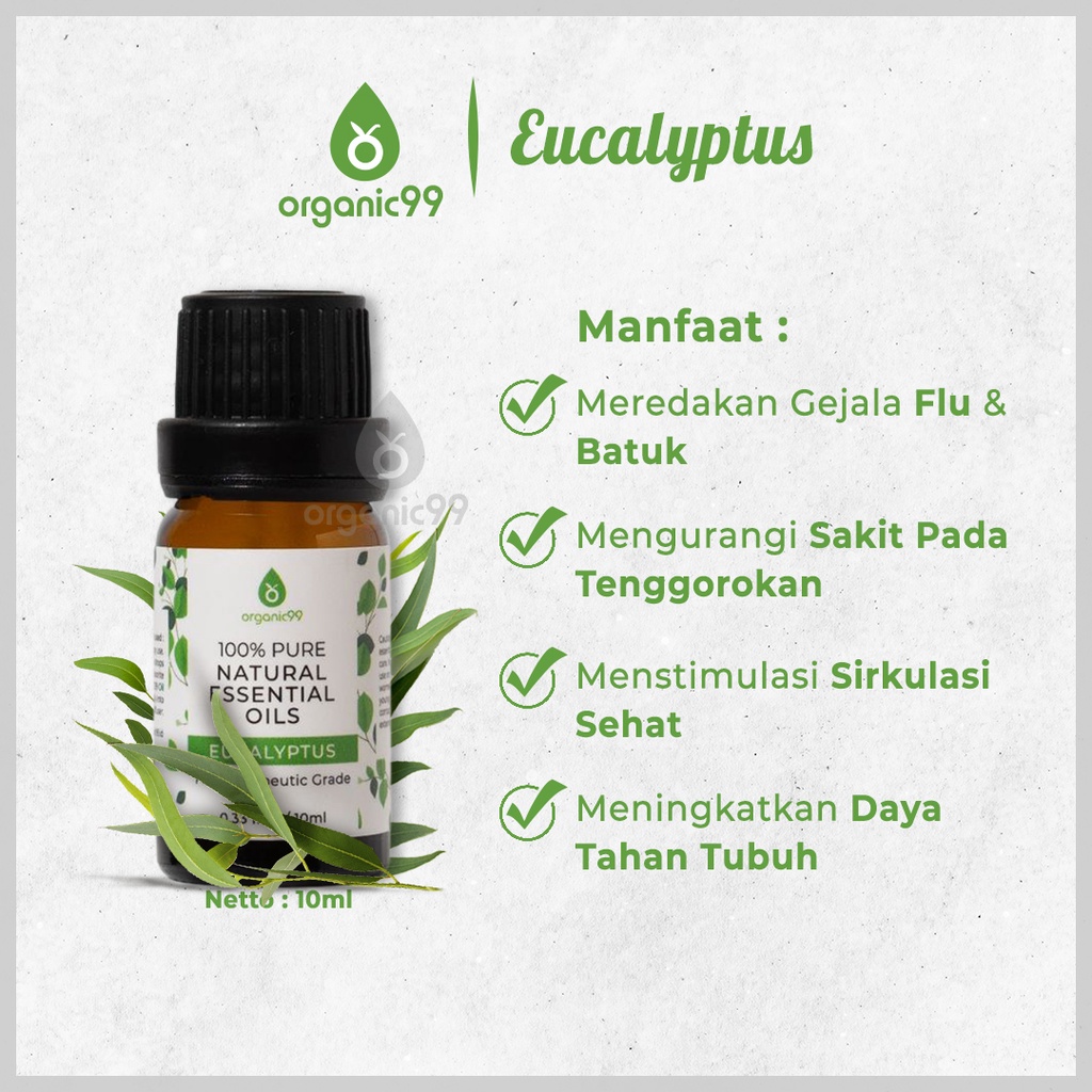 Jual Eucalyptus Essential Oil Organic99 Minyak Atsiri Aromaterapi Aromatherapy 100% Organik ...