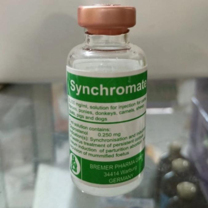 Harga Synchromate Terbaru Agustus 2023 |BigGo Indonesia