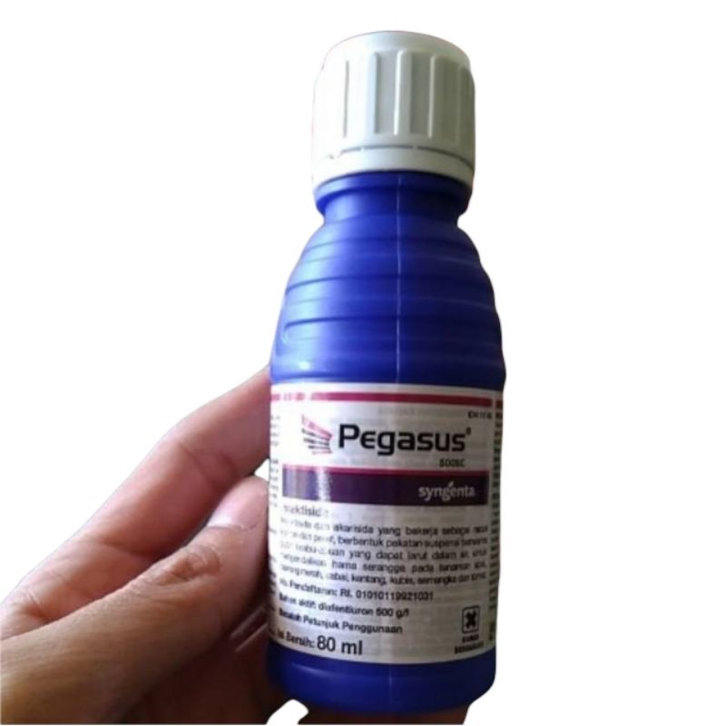 Jual Obat Fungisida PEGASUS 500SC 80ml | Shopee Indonesia