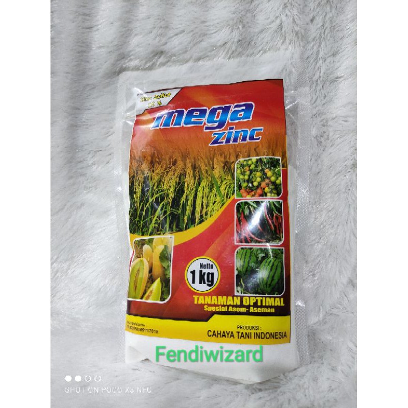 Jual MEGAZINC(Zinc Sulphate 30%) 1KG | Shopee Indonesia