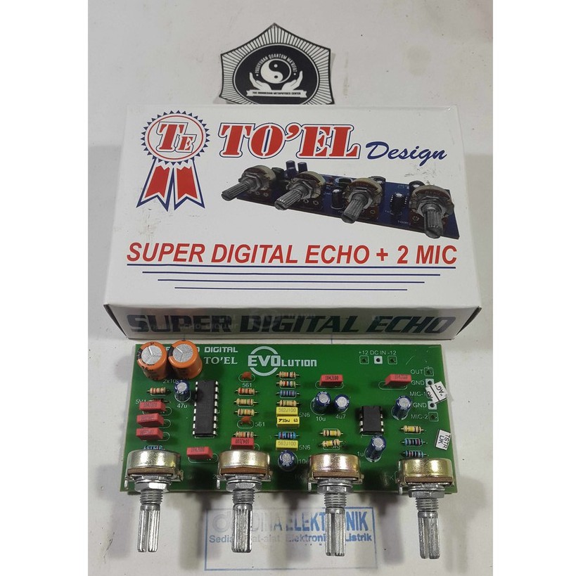 Jual KIT DIGITAL ECHO TOEL - 2 MIC | Shopee Indonesia