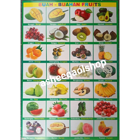 Poster EDUKASI MURAH..!! FRUIT-BUAH BUAHAN (BILINGUAL) | Shopee Indonesia