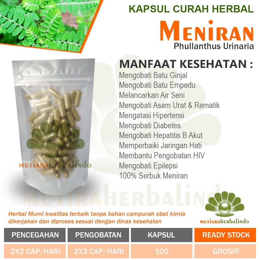 Jual MENIRAN 100 Kapsul Herbal Batu Ginjal Empedu Peluruh Kencing ...