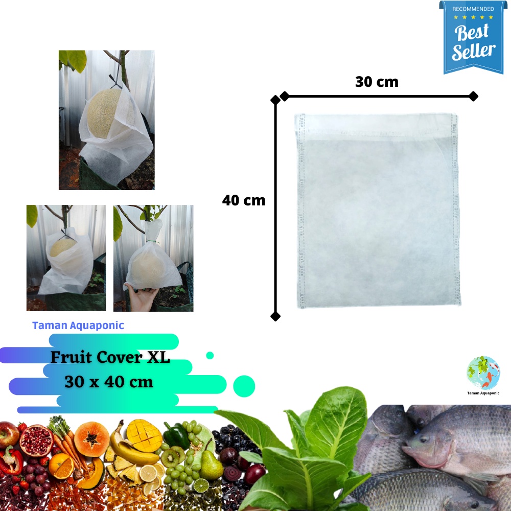 Jual Fruit Cover/Pembungkus Buah Ukuran XL 25 pcs | Shopee Indonesia