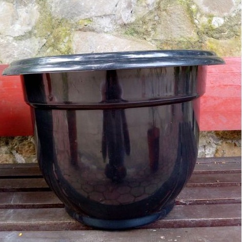 Jual POT TANAMAN JUMBO CEMPAKA UKURAN 45 50/POT BUNGA BESAR UKIRAN 45 ...