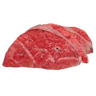 Jual PARU SAPI SEGAR ( FRESH BEEF LUNGS ) | Shopee Indonesia