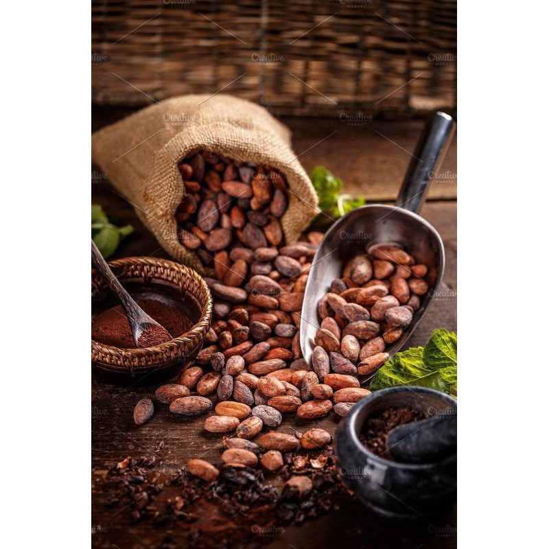 Jual BIJI KAKAO KERING RP. 3000 /100 gram, BIJI BUAH COKLAT, KAKAO ...