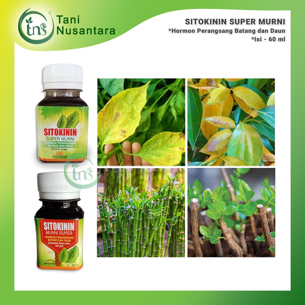 Jual Sitokinin Hormon Pertumbuhan Daun dan Batang Tanaman - Netto 60 ML ...