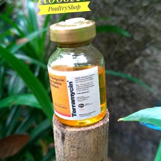 Jual Terramycin Obat Snot Ayam | Shopee Indonesia