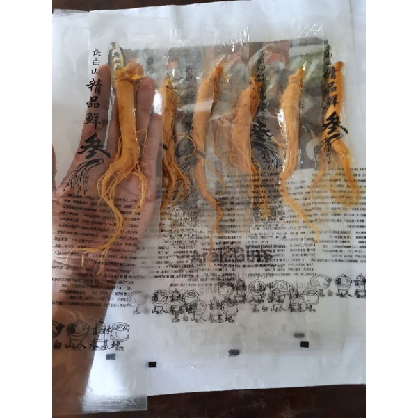 Jual ginseng merah korea, ginseng korea | Shopee Indonesia