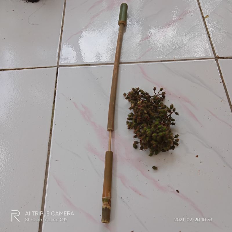 Jual Tembakan pletokan dari bambu +peluru buah pepetian/ senggani ...