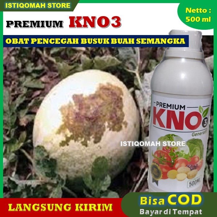Jual PREMIUM KNO3 500ml Pupuk Obat Pencegah Penyakit Busuk Buah ...