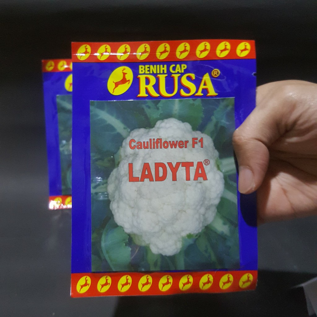 Jual Benih Kol Bunga Cap Rusa Ladyta Isi 10 Gram - Benih Sayur Bungkul ...