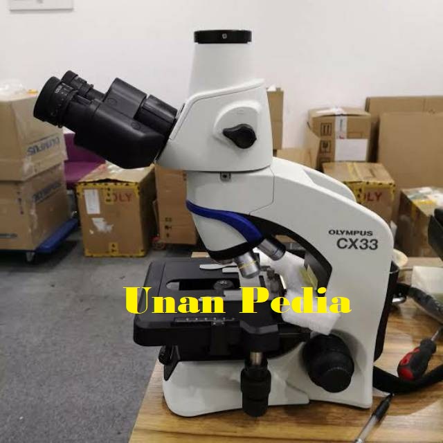 Jual Mikroskop Olympus CX33 Original - Microscope CX33 Olympus | Shopee Indonesia