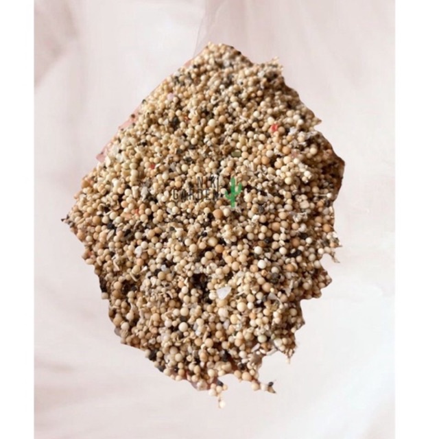 Jual Pasir Pantai / Pasir Bali / Pasir Merica / Pasir Bahan Craft ...