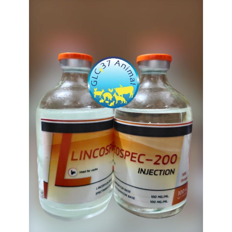 LINCOSPEC 200 LINCOSPECS OBAT INFEKSI PADA AYAM SAPI BABI KERBAU DLL ...