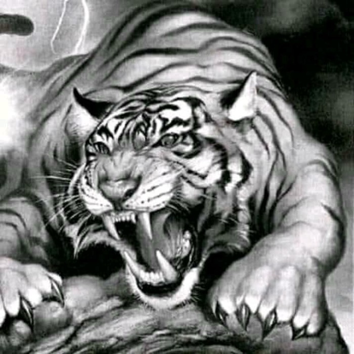 Harga Maung Terbaru Desember 2022 |BigGo Indonesia