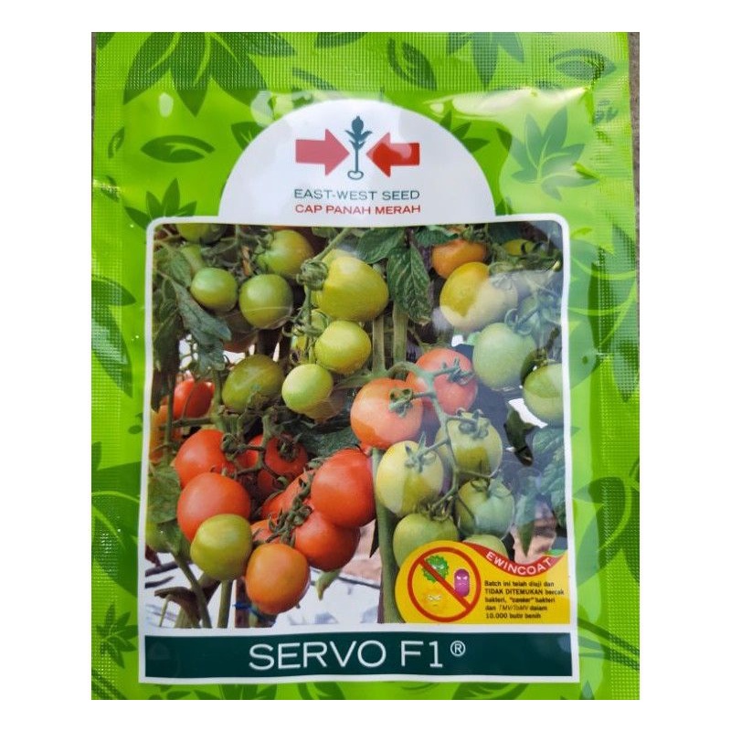 Jual Tomat Servo f1 1750 butir kemasan original pabrik Murah! | Shopee ...