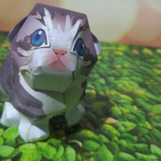 Jual Papercraft kucing | Shopee Indonesia
