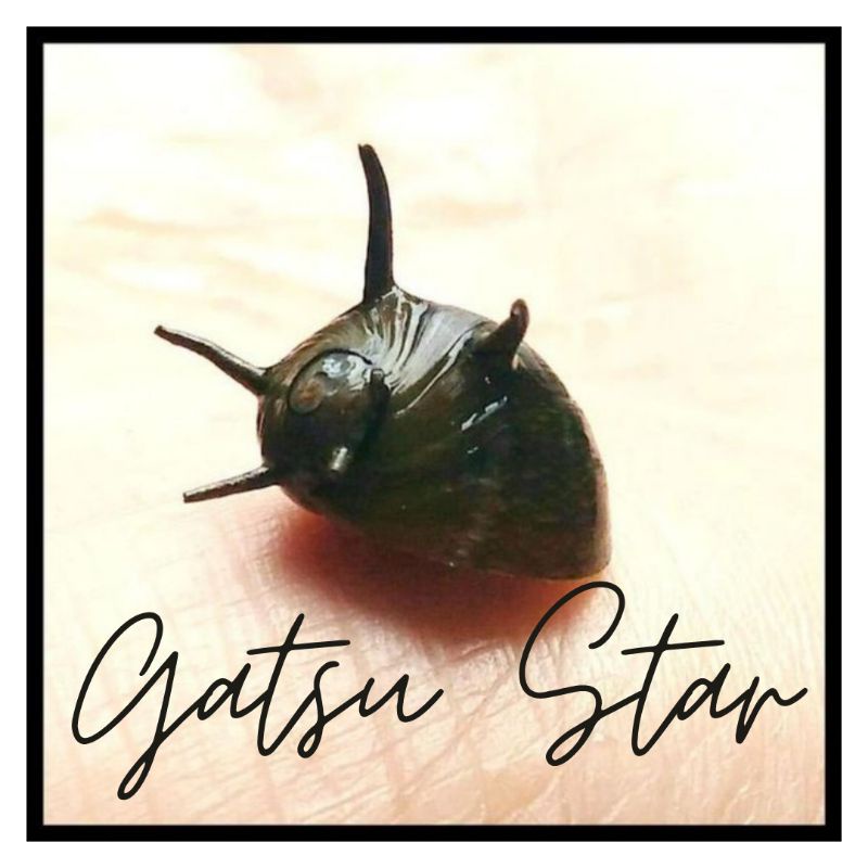 Produk Gatsu Star | Shopee Indonesia