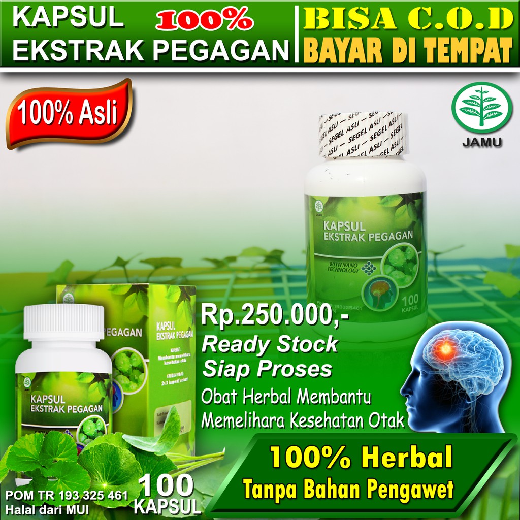 Jual Obat Pusing Kepala - Vertigo - Sulit Konsentrasi - Darah Kotor ...