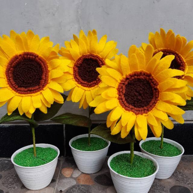 Begini 18+ Bagaimana Tanaman Bunga Matahari Menyesuaikan Terbaru ...