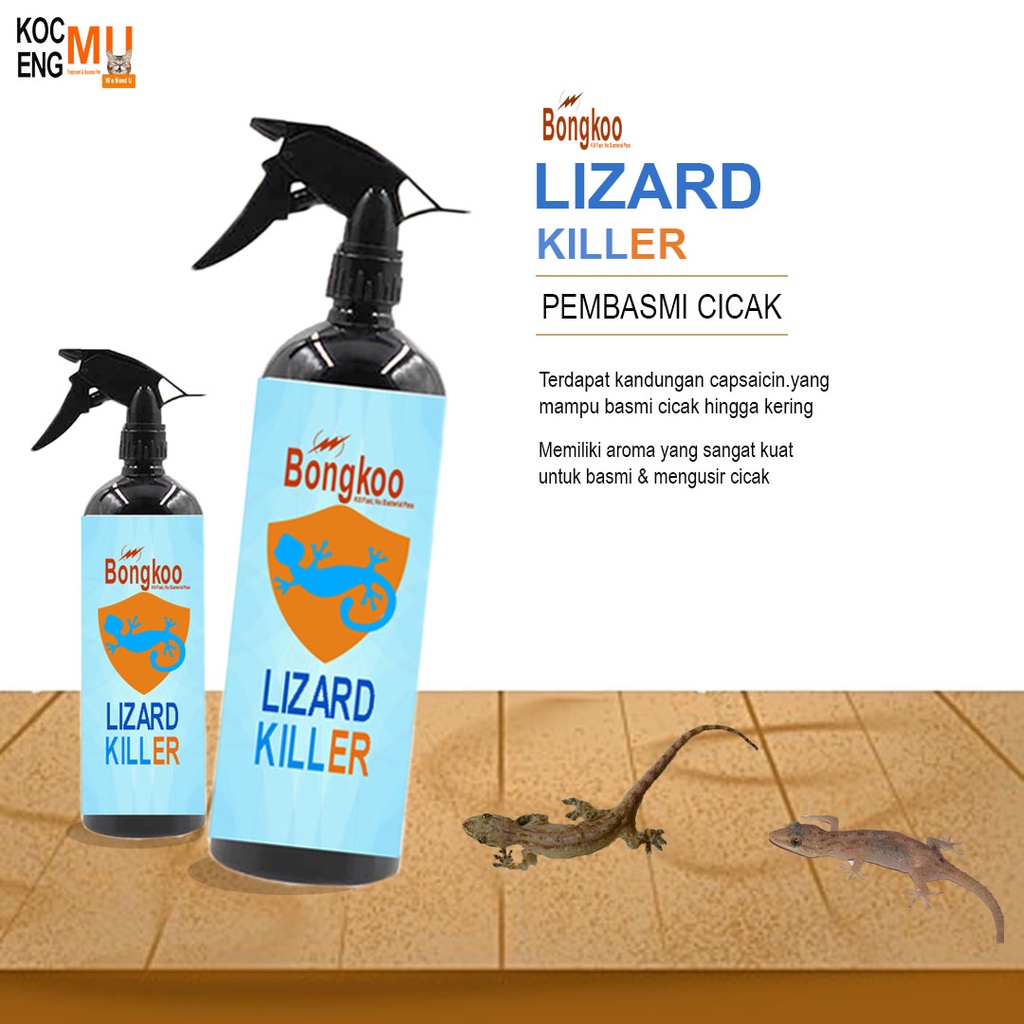 Jual Pembasmi Cicak Obat Cicak Racun Cicak Semprot Bongkooo | Shopee ...