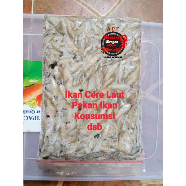 Jual Ikan Cere Laut Beku Pakan Ikan Predator Pakan Ikan Hias Dll 500gr ...