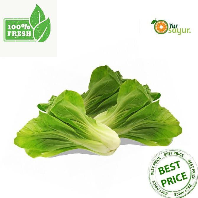 Jual Sayur Pakcoy /Sayuran Pokcoy / Sawi Sendok 250 Gram ' | Shopee ...