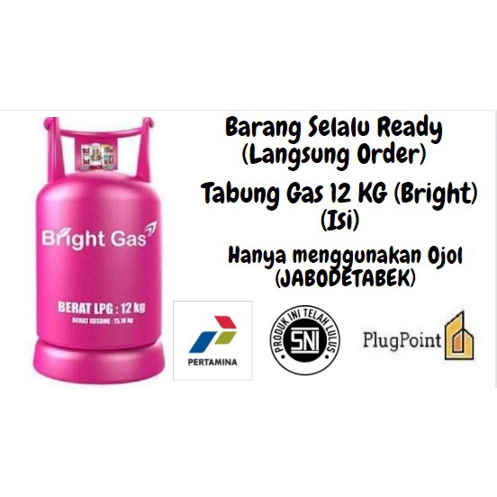 Jual TABUNG GAS ELPIJI BRIGHT GAS ISI 12 KG | Shopee Indonesia