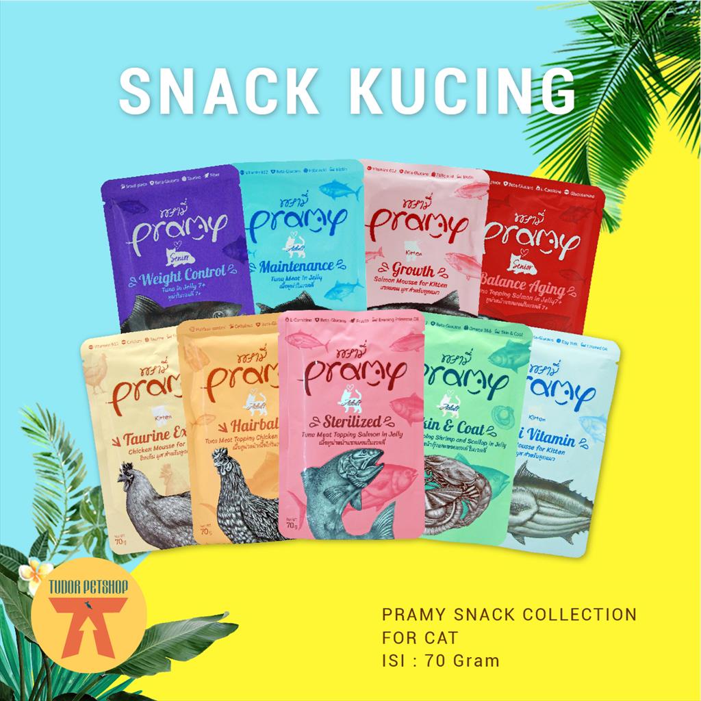 Jual MAKANAN BASAH KUCING PRAMY POUCH / SACHET CAT FOOD 70GR | Shopee ...