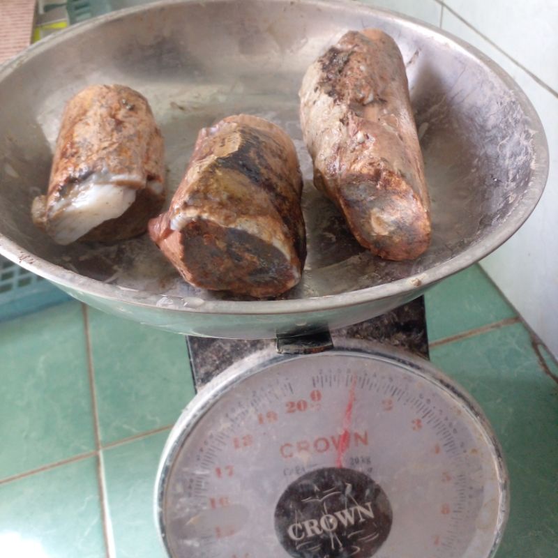 Jual Cod batu sempur bule campur kalimaya serat ruyung 1kg | Shopee ...