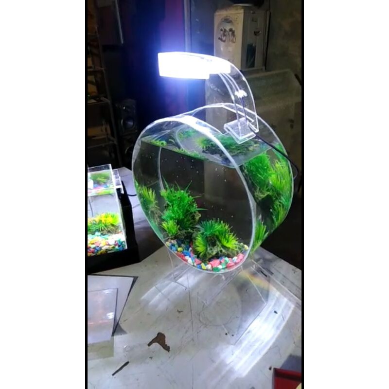 Jual AQUARIUM FULL ACRYLIC (FULL SET/LENGKAP) | Shopee Indonesia
