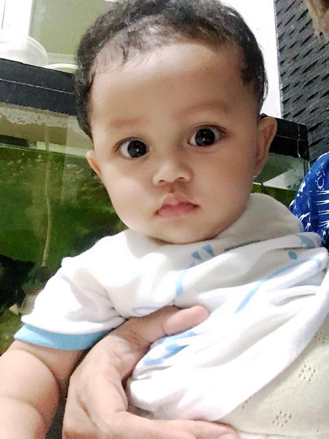 Yellow trap likat kuning perangkap hama tanaman termurah | Shopee Indonesia