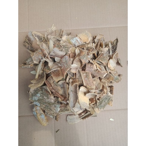Jual kulit pohon pulai/lame kering | Shopee Indonesia