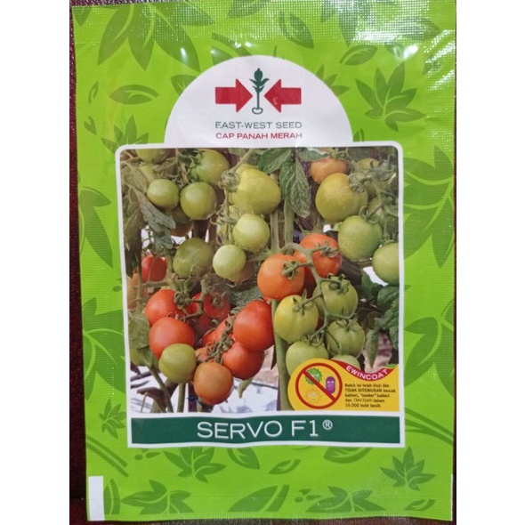 Jual Benih TOMAT SERVO F1 isi 1750 butir | Shopee Indonesia