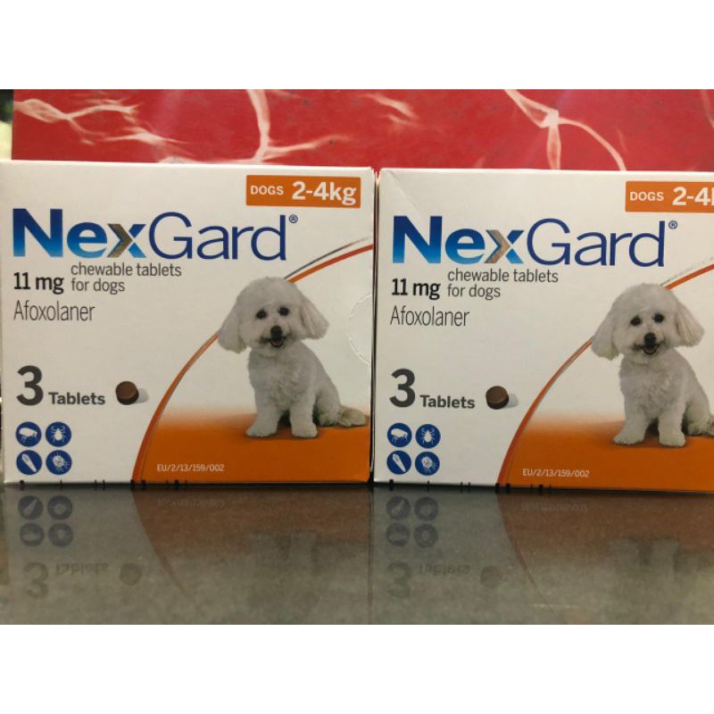 Harga nexgard 2 4 Terbaru Okt 2025 | BigGo Indonesia